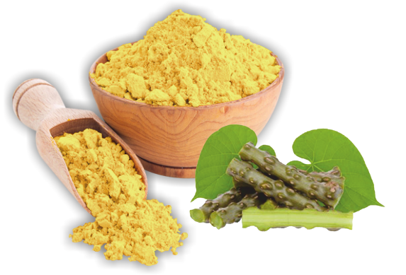 Neem Giloy – Teshu